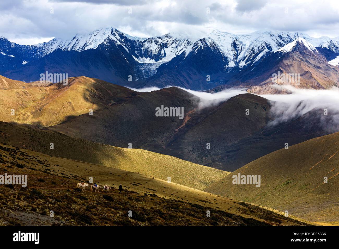 Mount Gongga, known as Minya Konka Stock Photo - Alamy