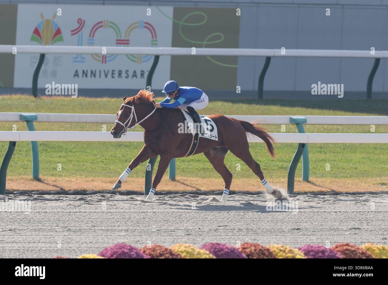 2025/11/23 KYOTO 01R Hot Seat / Yuga Kawada Jockey Kyoto Racecourse in ...