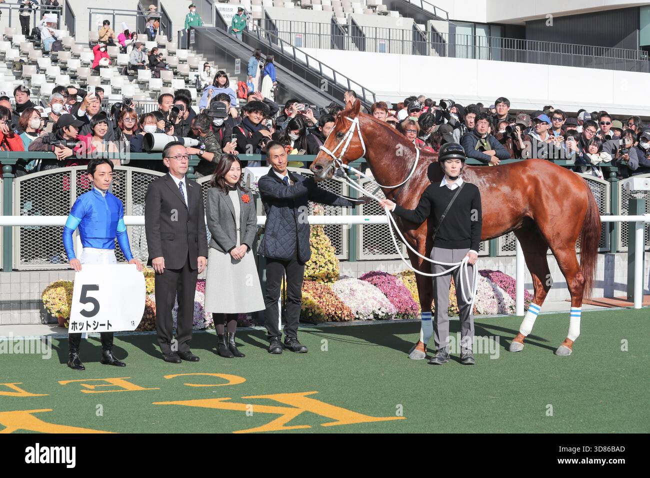 2025/11/23 KYOTO 01R Hot Seat / Yuga Kawada Jockey / Ryuji Okubo ...