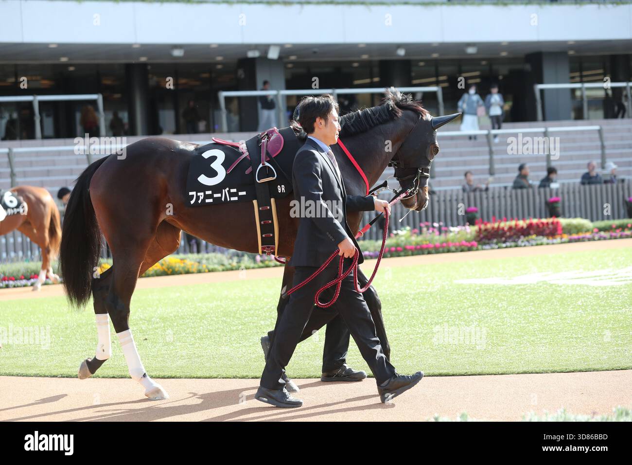 2025/11/22 KYOTO 09R SHUMEIGIKU SHO Funny Bunny Kyoto Racecourse in Kyoto, Japan on November 22 ...