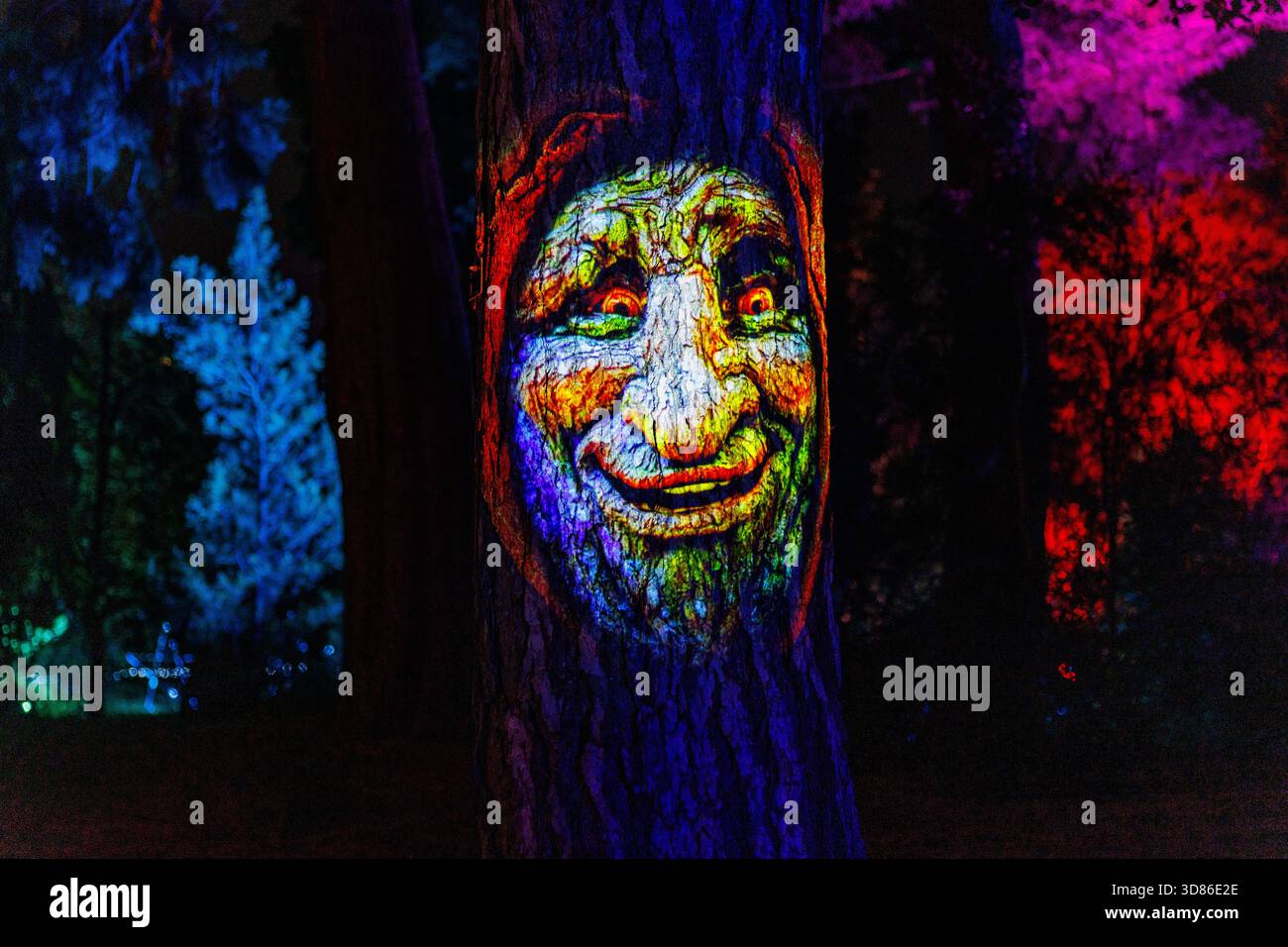 The luminate winter light trail hi-res stock photography and images - Alamy