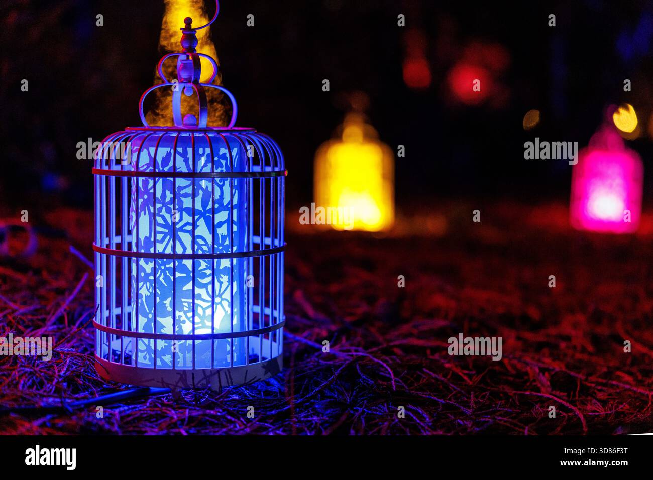 Birmingham, Botanical Gardens, UK. 28 November 2025, Luminate Launch ...