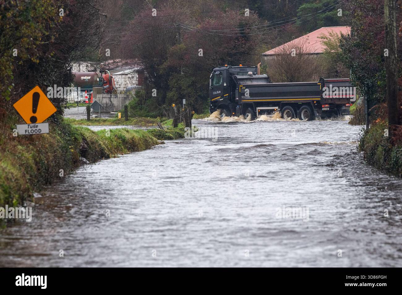 Ardcahan, West Cork, Ireland. 11th Nov, 2025. After a night of ...