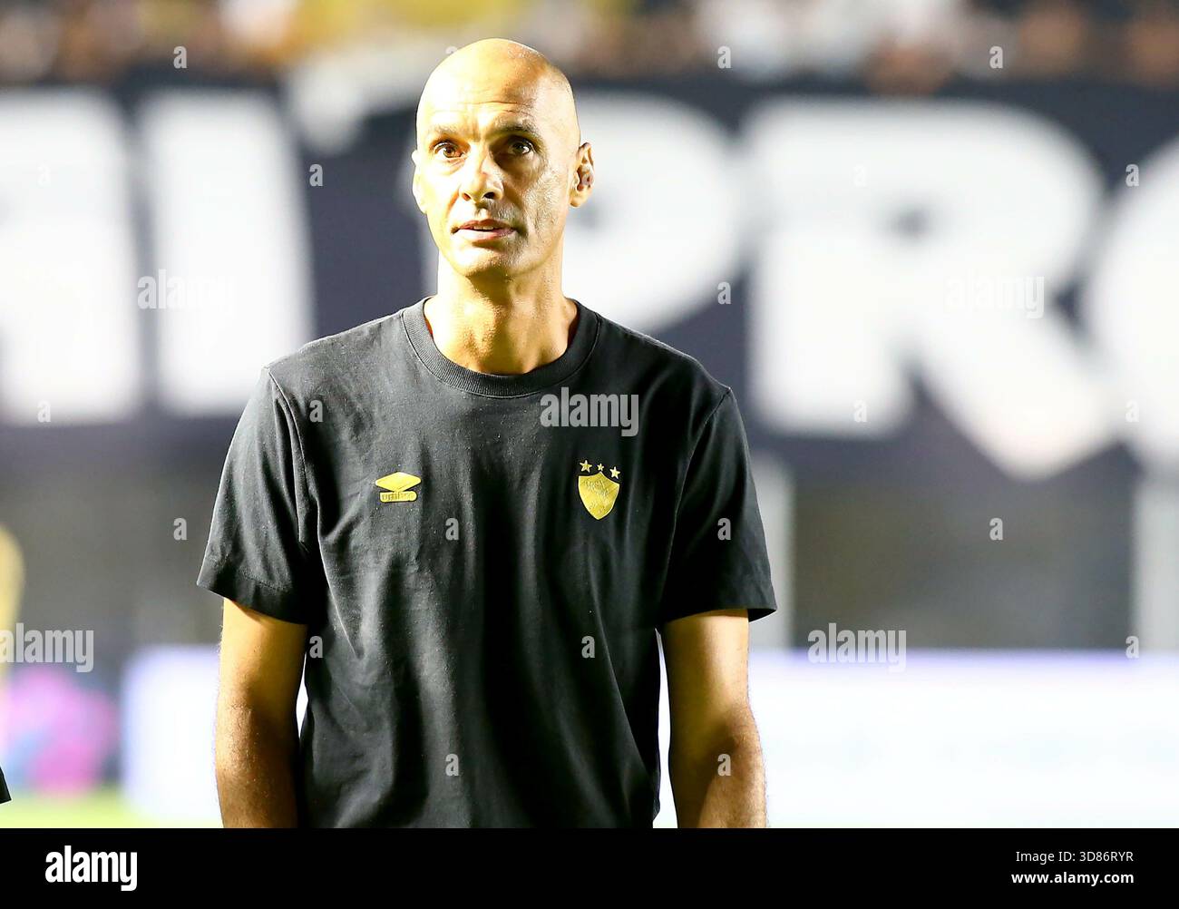 SP - SANTOS - 11/28/2025 - BRAZILIAN CHAMPIONSHIP A 2025, SANTOS x ...