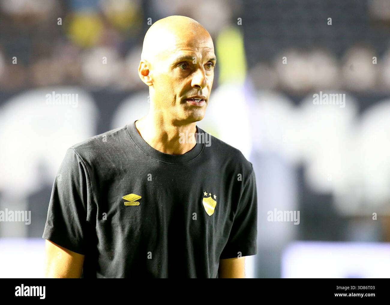 SP - SANTOS - 11/28/2025 - BRAZILIAN CHAMPIONSHIP A 2025, SANTOS x ...