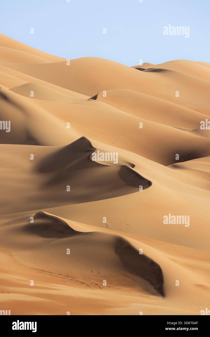View of endless rippling sand dunes with shifting shadows under a clear ...