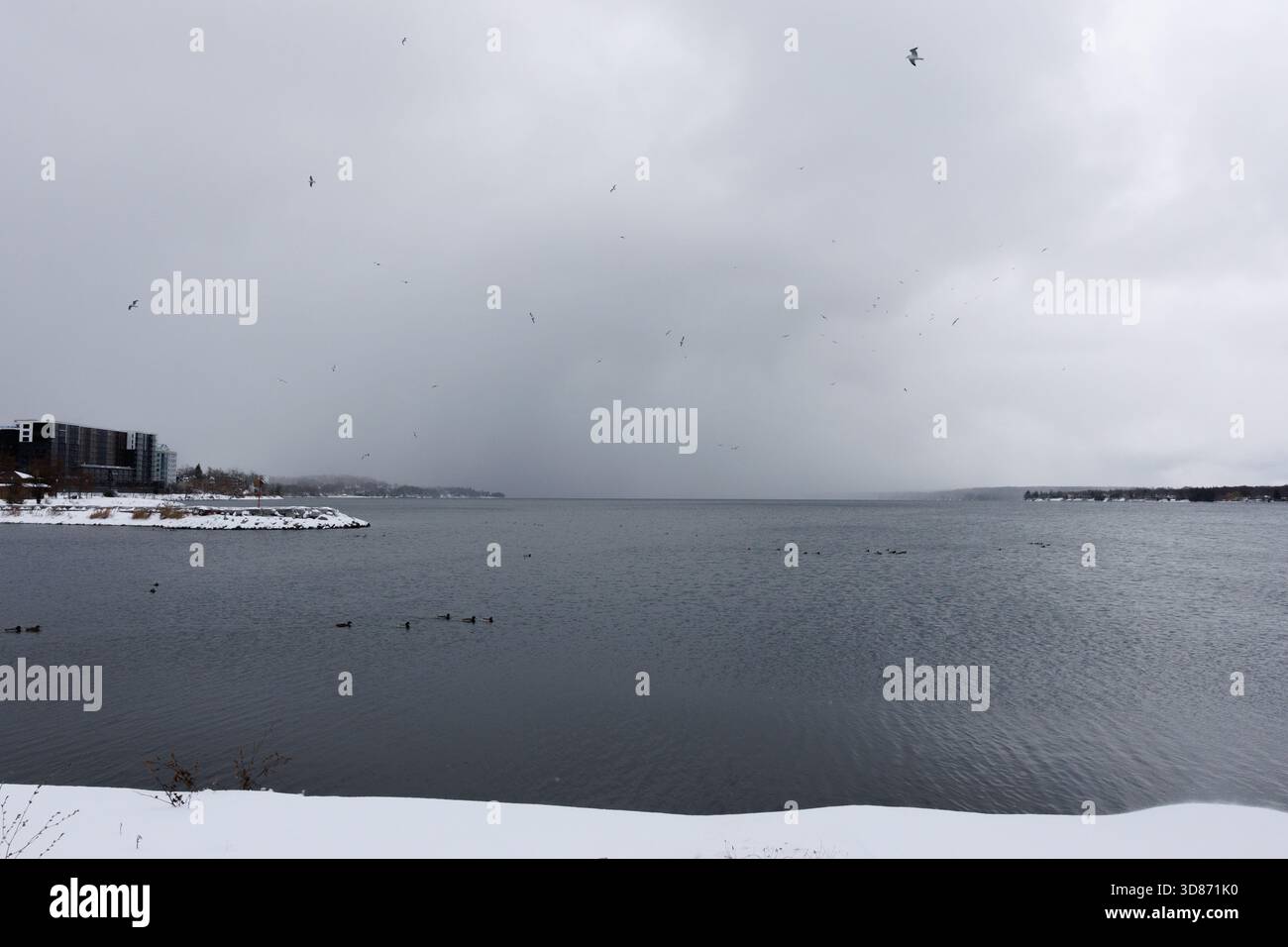 A snow squall descends over Lake Simcoe along the Barrie, Ont ...