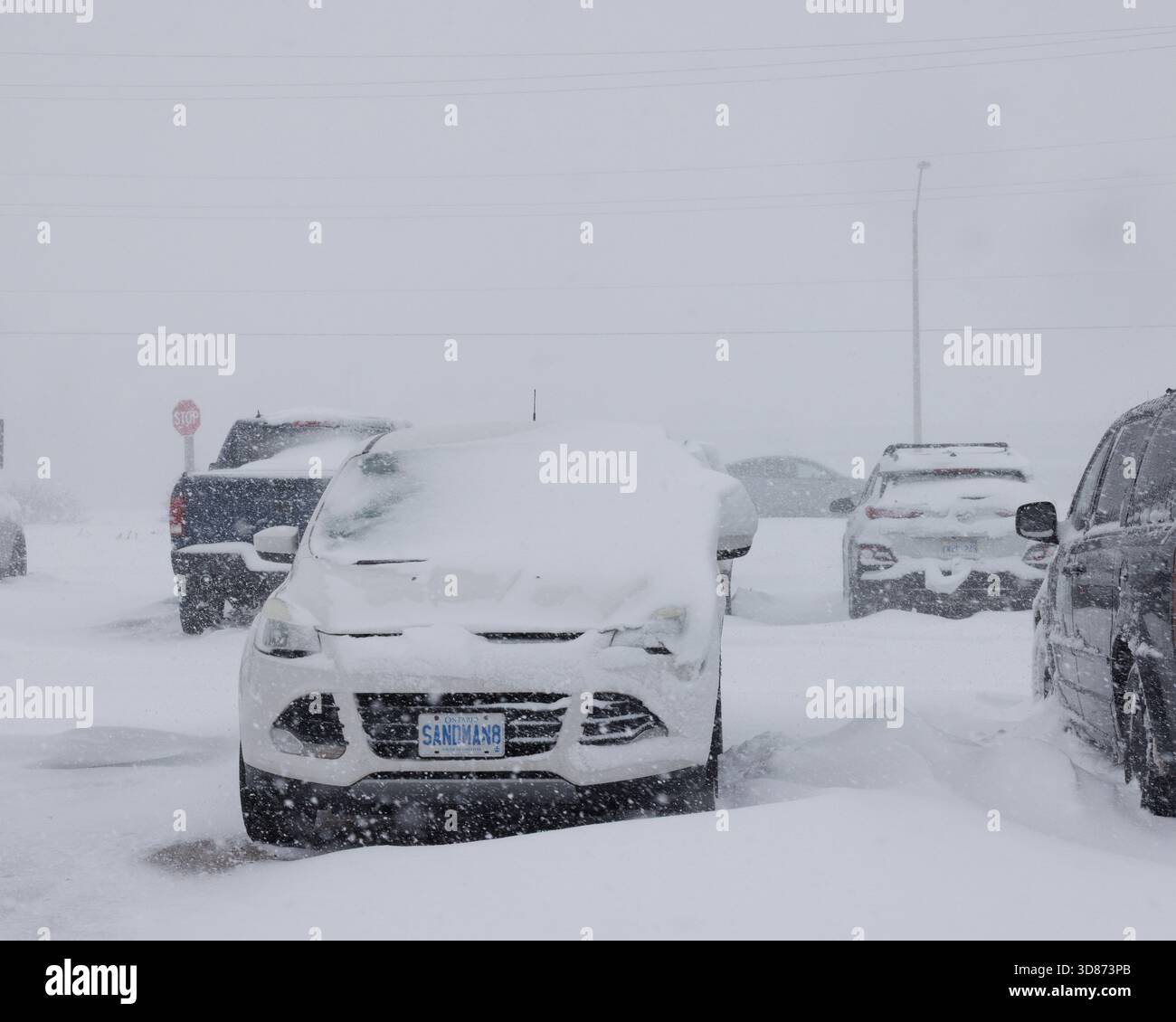 Snow accumulates on parked vehicles at a carpool lot in Innisfil, Ont ...