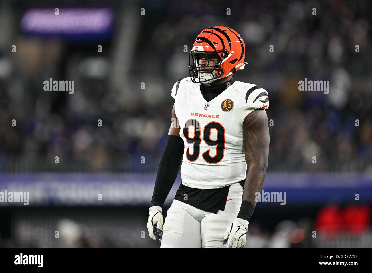 Cincinnati Bengals defensive end Myles Murphy (99) looks on between ...