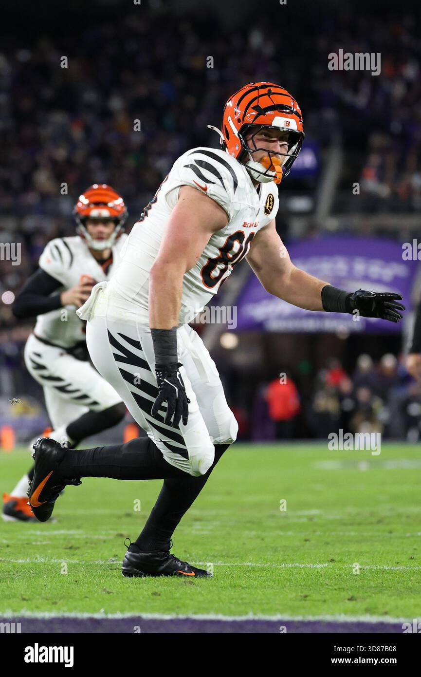 Cincinnati Bengals tight end Drew Sample in action during the first ...