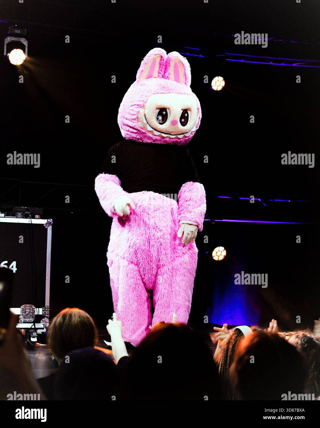 Rabbit fans hi-res stock photography and images - Alamy