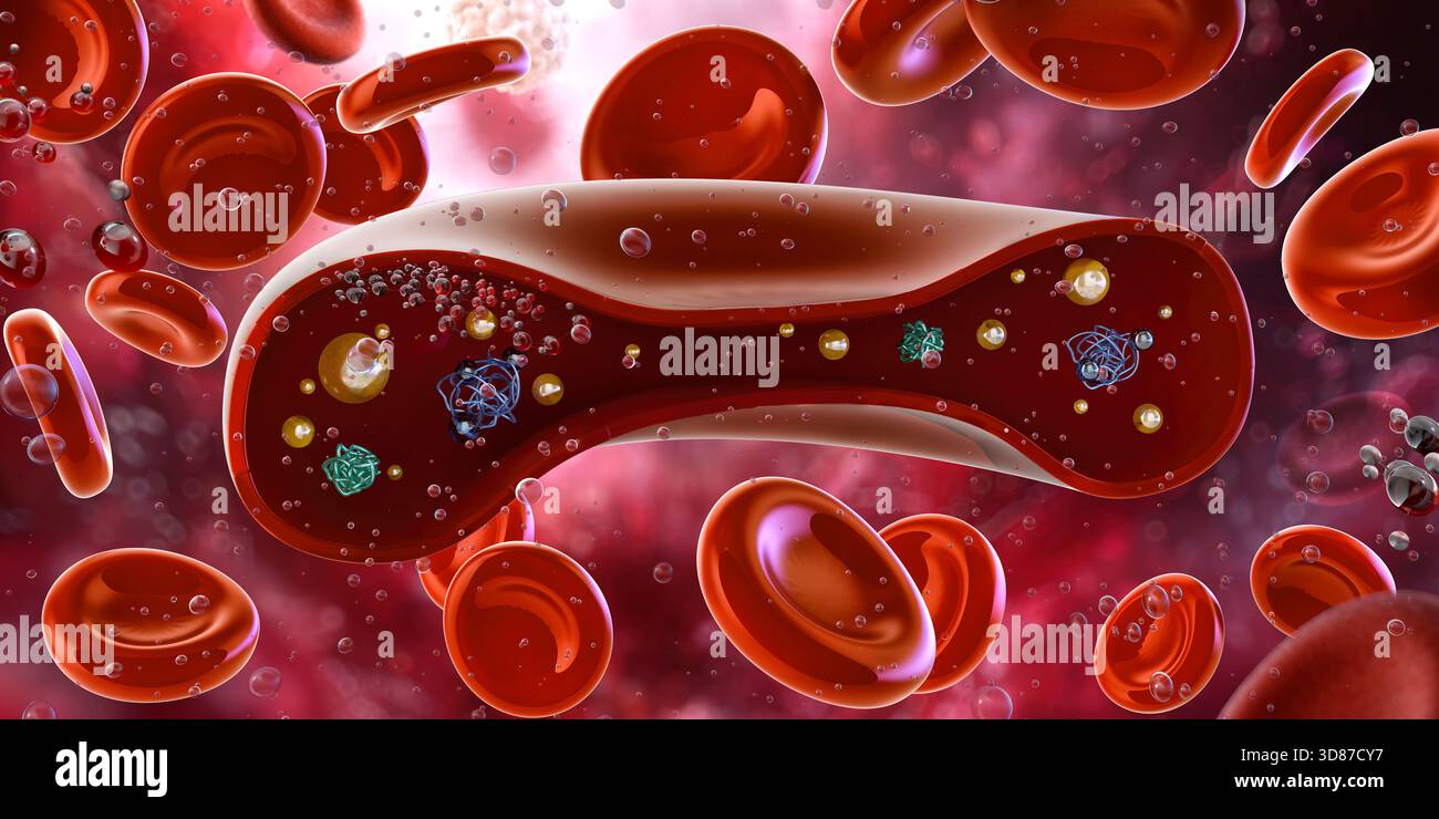 Illustration showing a cross-section of a red blood cell (erythrocyte ...