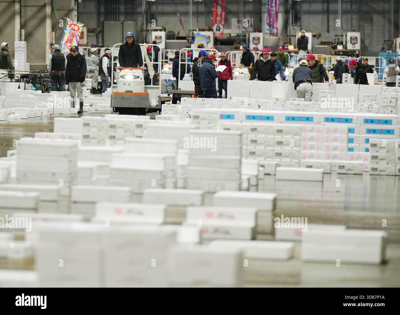 Staff members and others prepare for auctions at the Central Wholesale ...