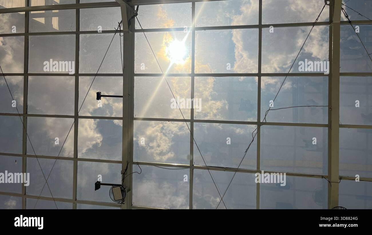 skylight roof, Modern glass roof with steel grid frames. Skylight ...