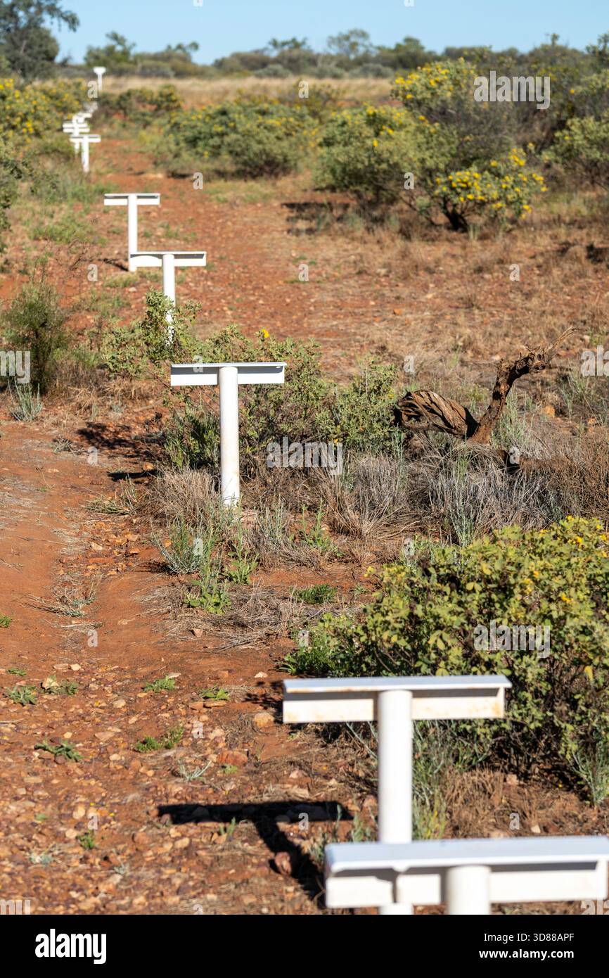 Flood markers on floodplain around Cooper's Creek, Windorah, Queensland ...