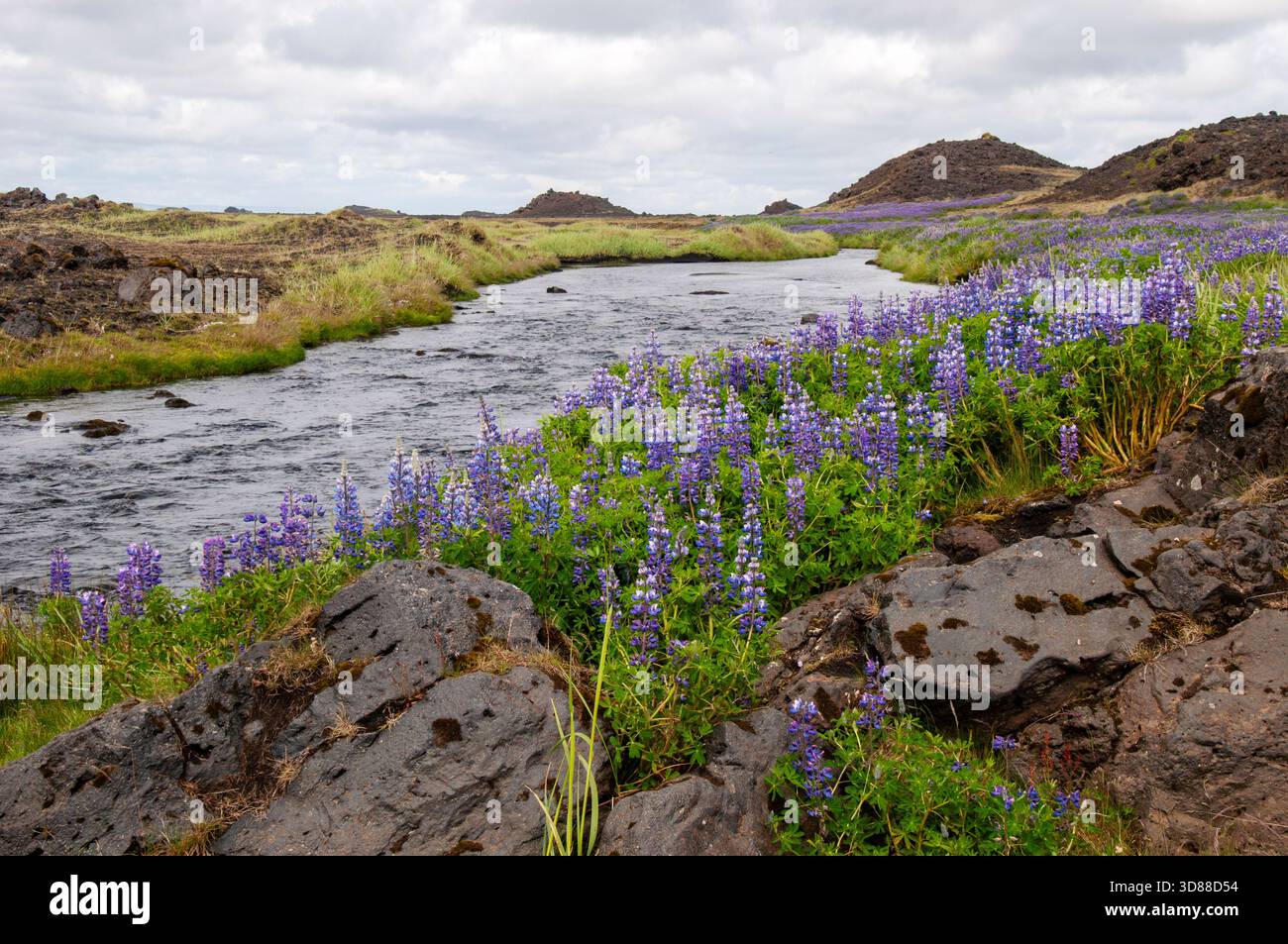 South Iceland, view across stream and meadow to mountains on an ...