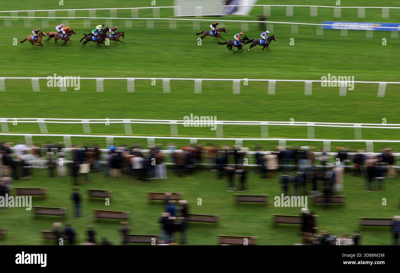 Runners and riders during the Play Coral 'Racing-Super-Series' Mares ...