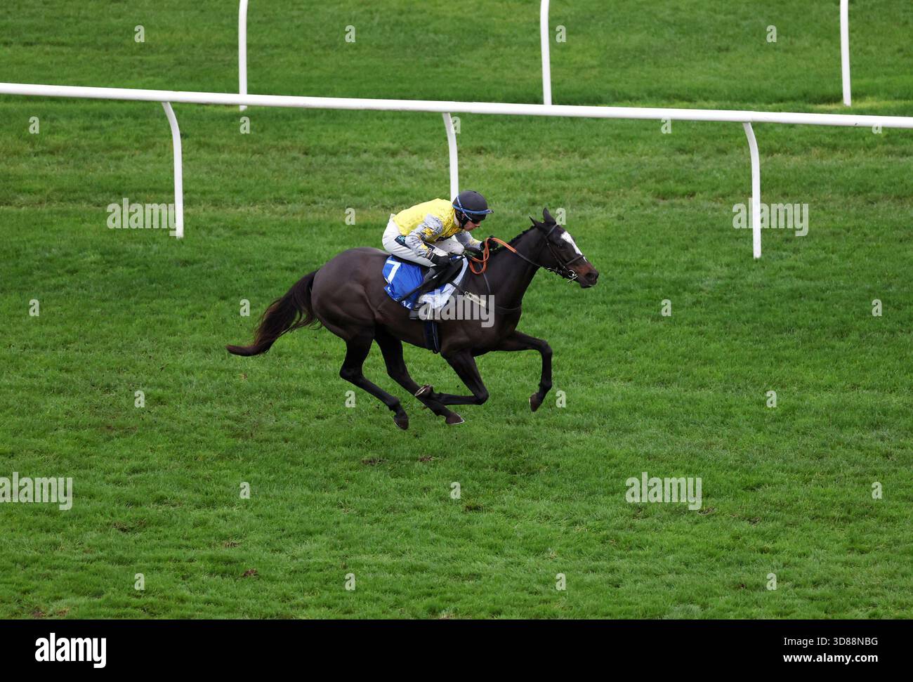 La Conquiere ridden by Gavin Sheehan on their way to winning the Play ...