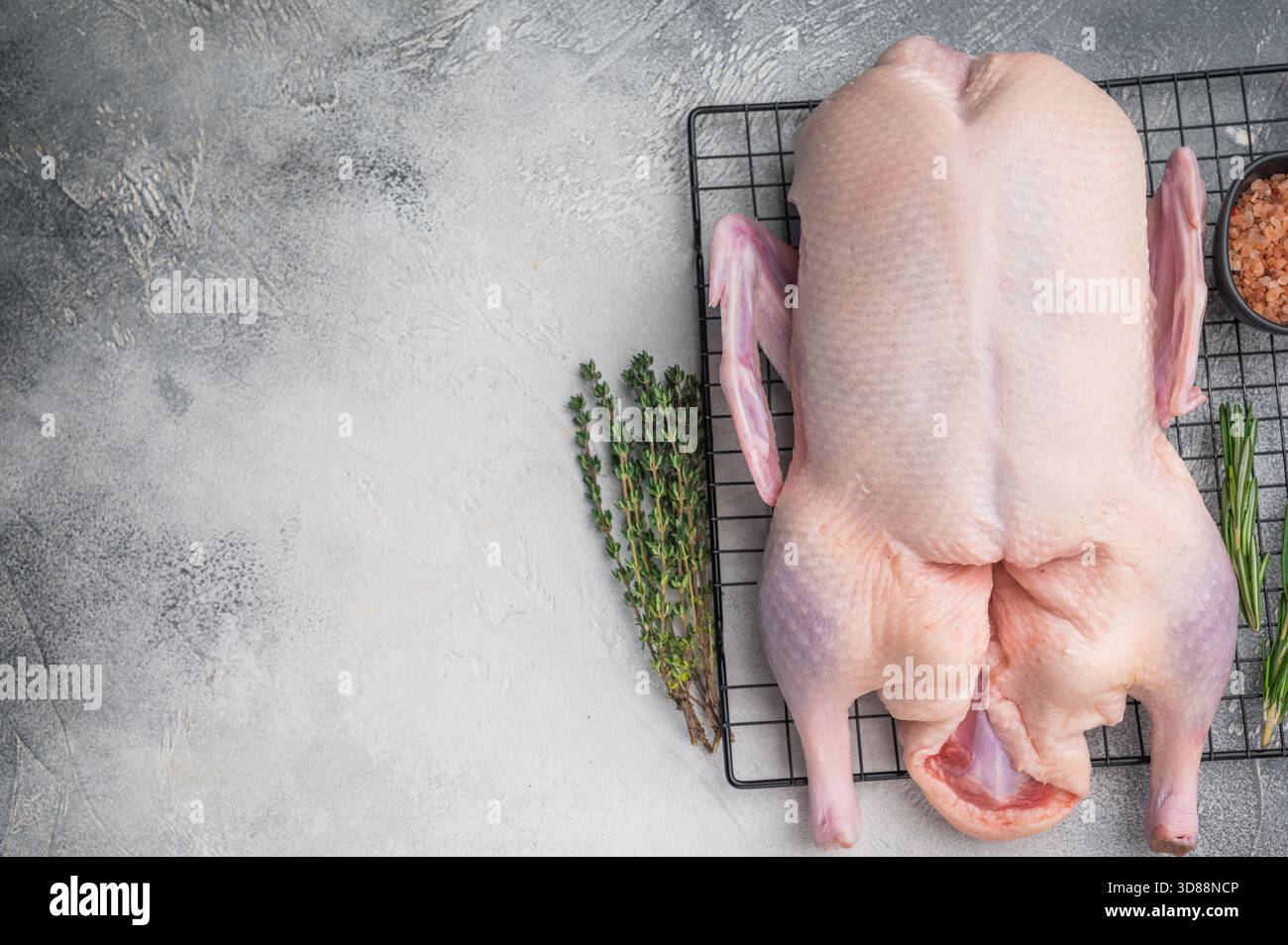 Plucked whole duck prepared with thyme and rosemary on wire rack over ...