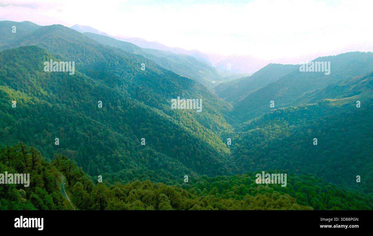 Aerial drone green tree covered Himalaya mountains with rays of light ...