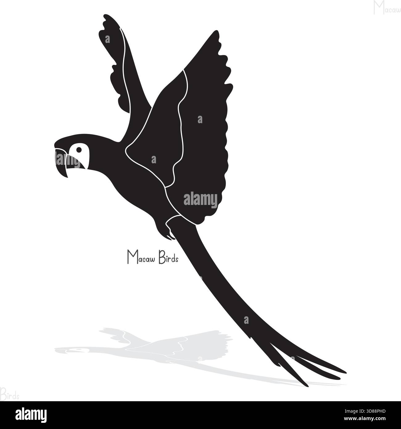 Macaw birds vector art silhouette. Flying parrot tropical avian black ...