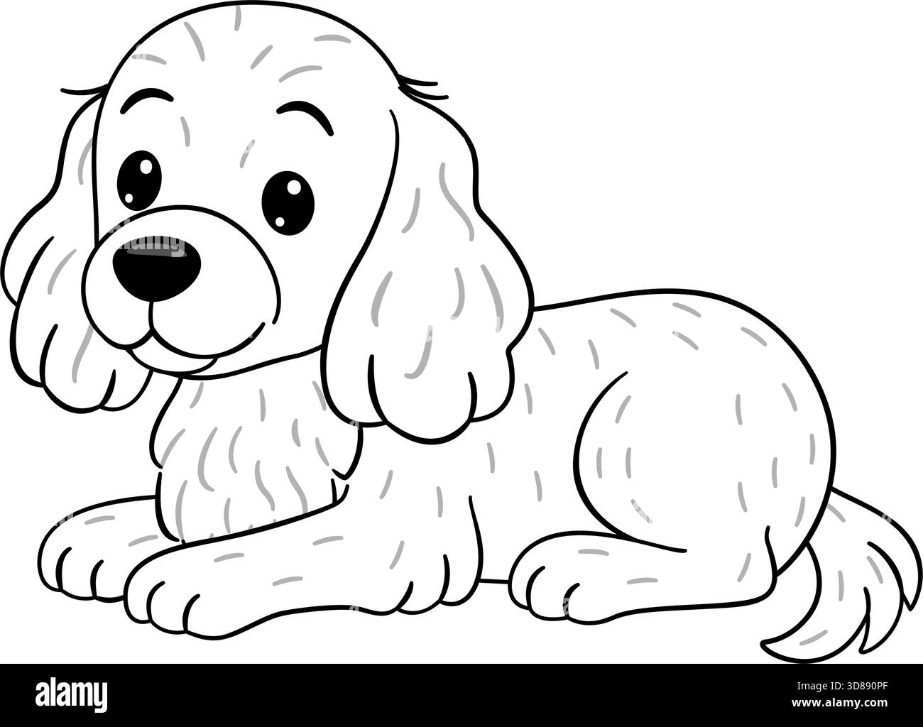 Fluffy cute dog, Cocker Spaniel lying down and resting calmly. Doodle ...