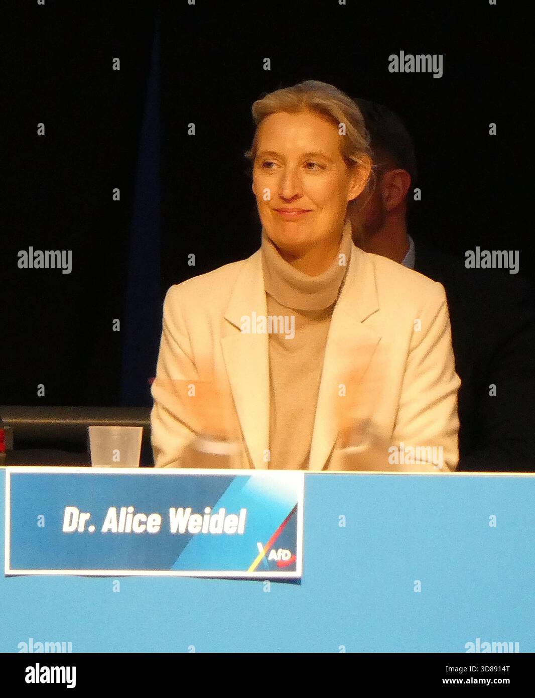 29.11.2025 xkhx Hessenhallen in Gießen Gründung der AfD ...