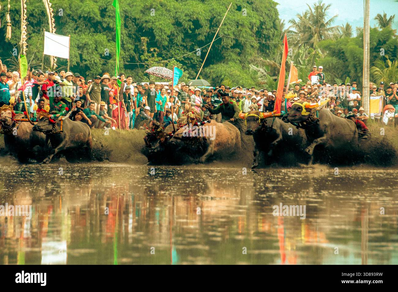 THE TRADITIONAL ATTRACTION FROM JEMBRANA REGENCY BALI IS KNOWN AS ...