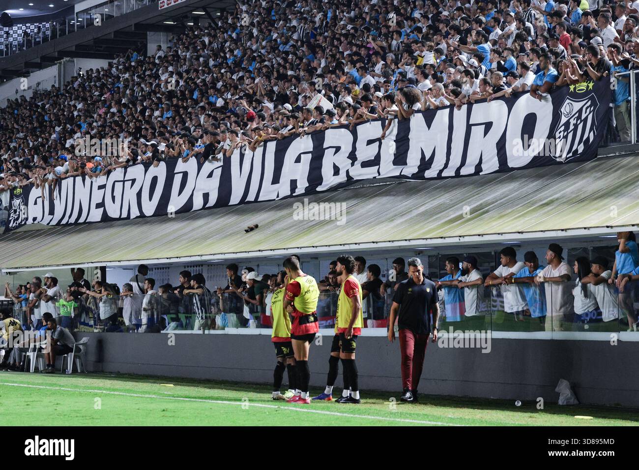 SANTOS, BRAZIL - NOVEMBER 28: Fans of Santos during a Brasileirao 2025 ...