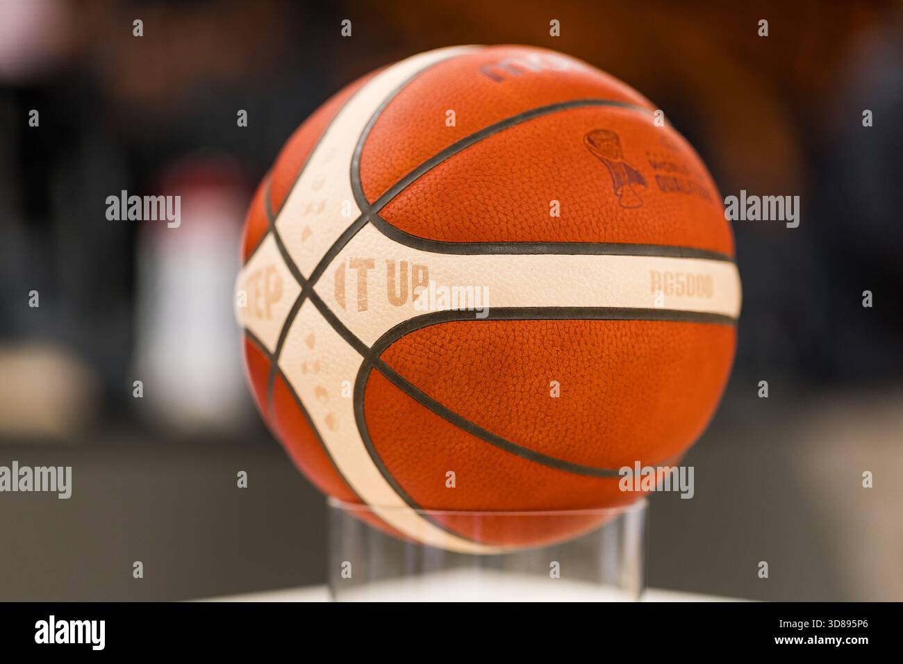 NEU-ULM, GERMANY - NOVEMBER 28: Match ball of the FIBA World Cup ...