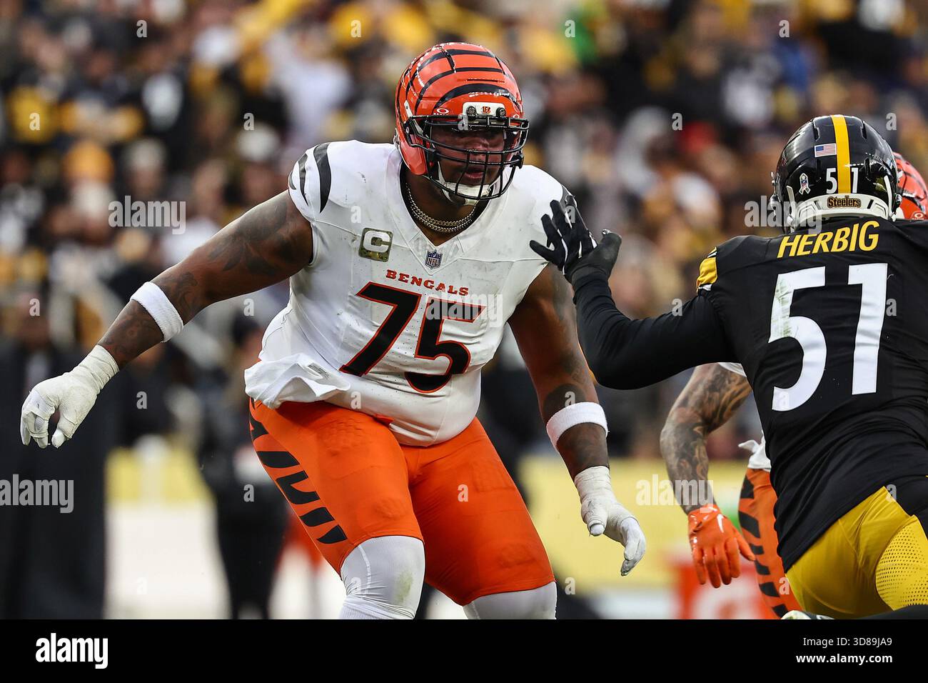 Cincinnati Bengals offensive tackle Orlando Brown Jr. blocks against ...