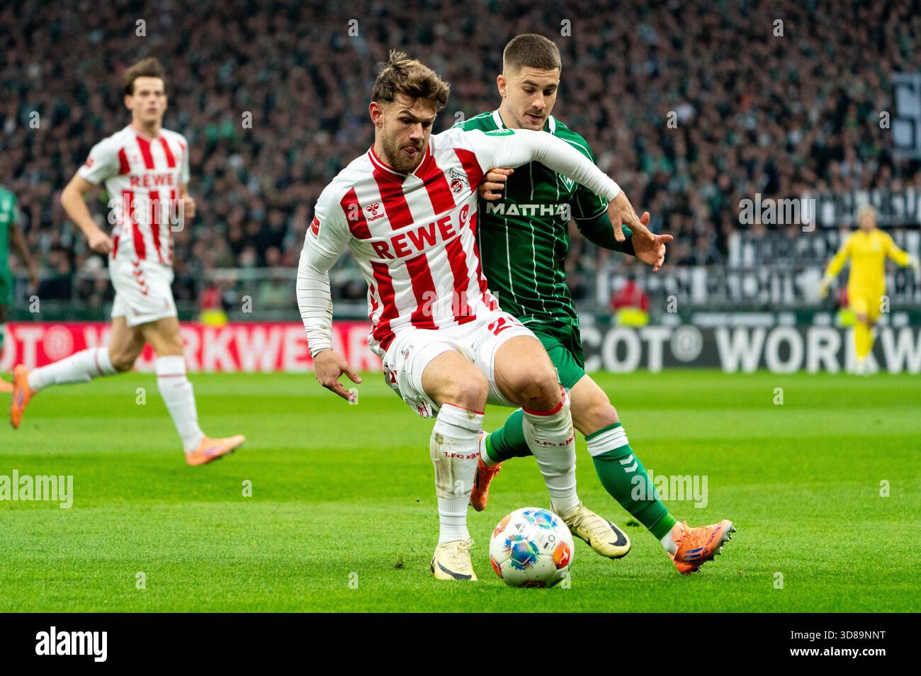 Jan Thielmann (1. FC Cologne, #29) in a duel, fight for the ball with ...