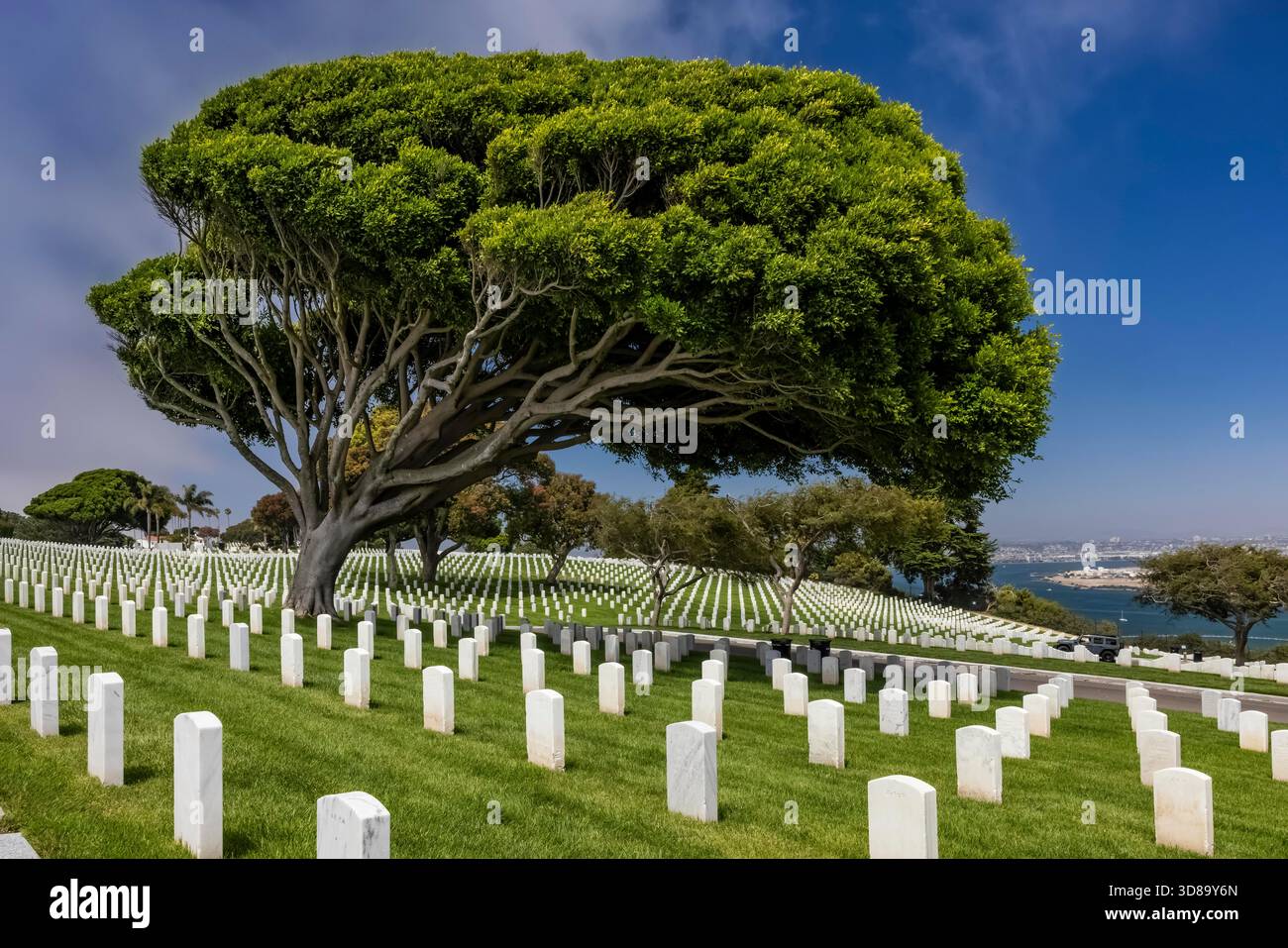 Fort Rosecrans National Cemetery, San Diego, California, USA Stock ...