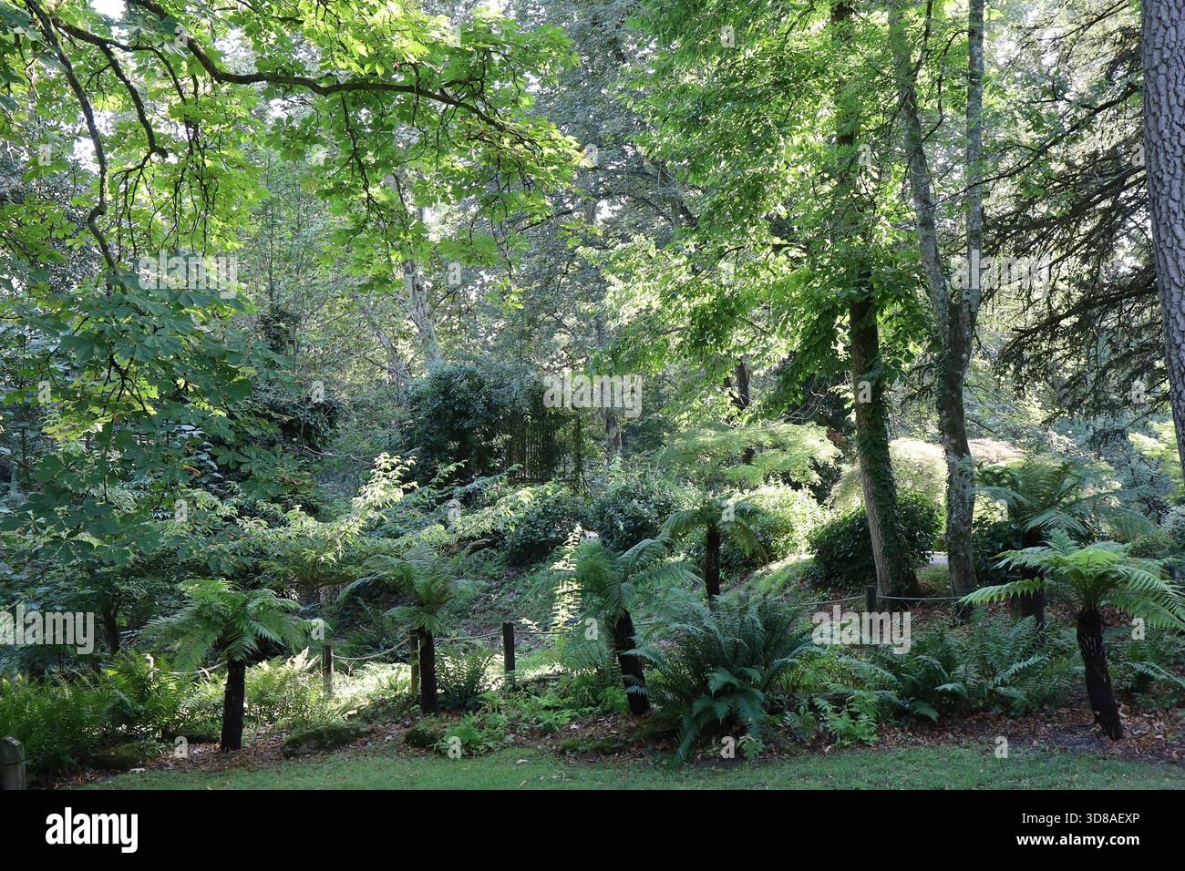 Jean rameau garden hi-res stock photography and images - Alamy