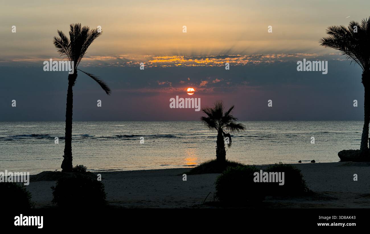 Sunrise over the Red Sea shoreline in an Egyptian hotel resort, casting ...