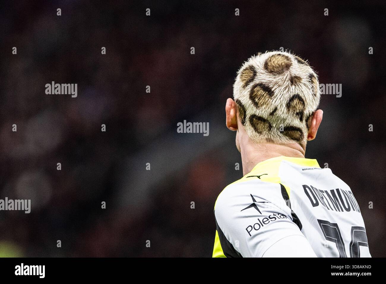 Julian Ryerson (Borussia Dortmund, 26) 1. Bundesliga [Bundesliga ...