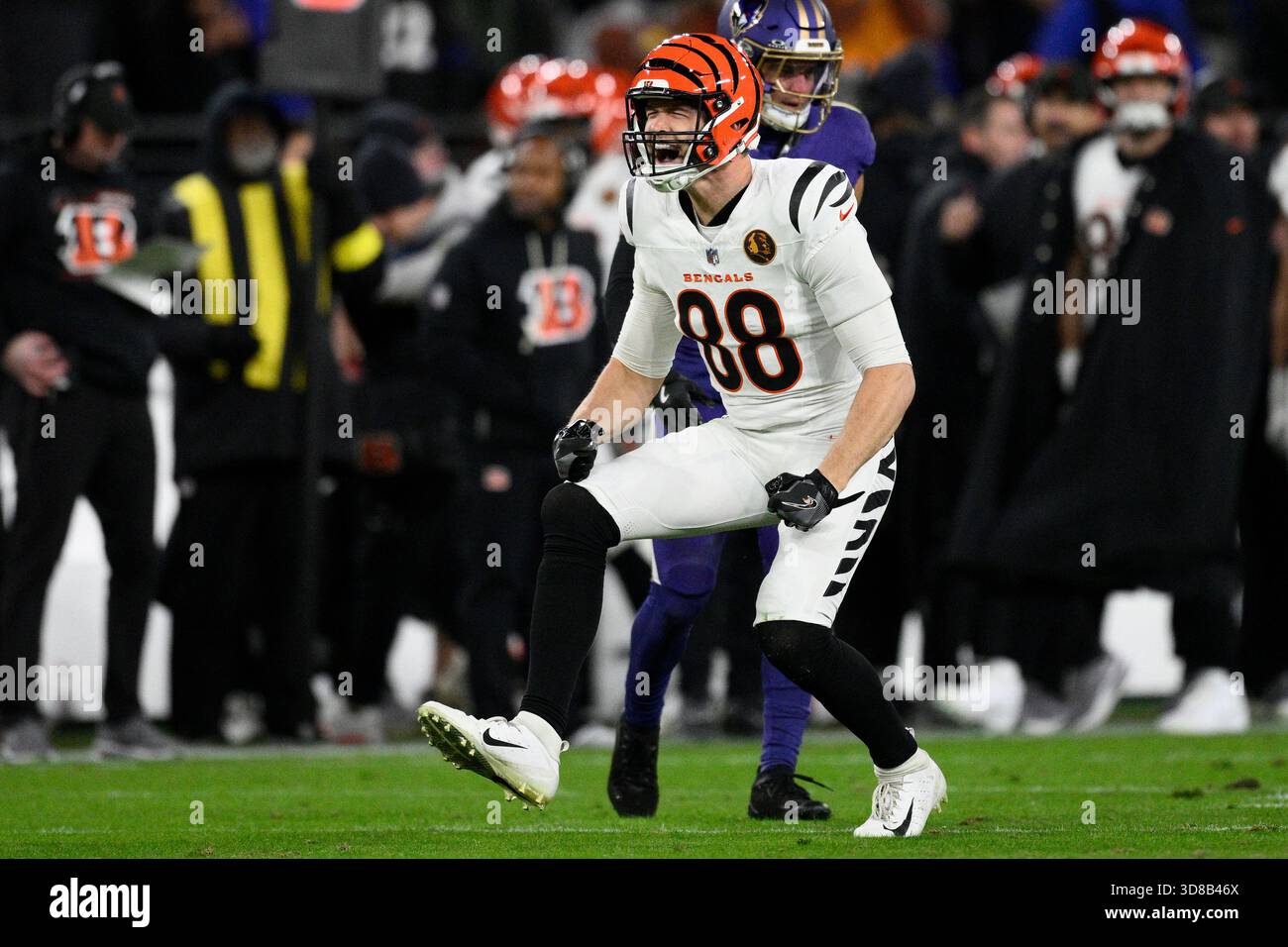 Cincinnati Bengals tight end Mike Gesicki (88) reacts during the second ...