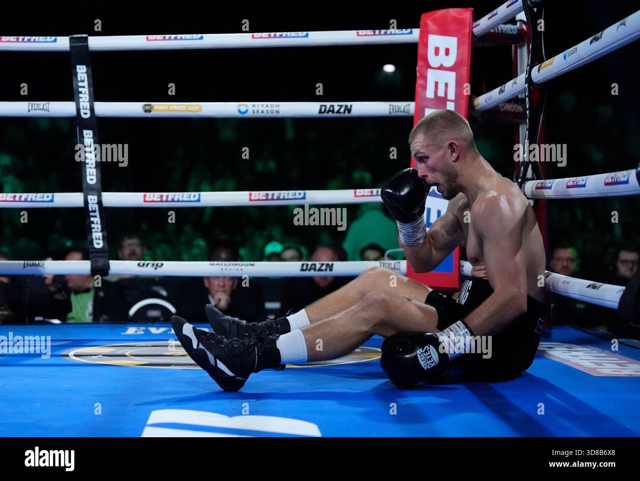 Tom Cowling after being knocked down during his fight at the National ...