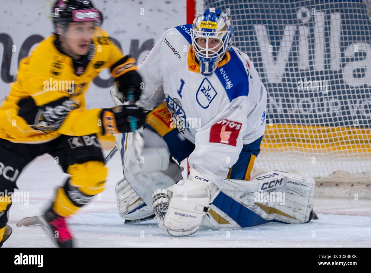 29/11/2025, Porrentruy, Raiffeisen Arena, NL: HC Ajoie - EV Zug, #1 ...
