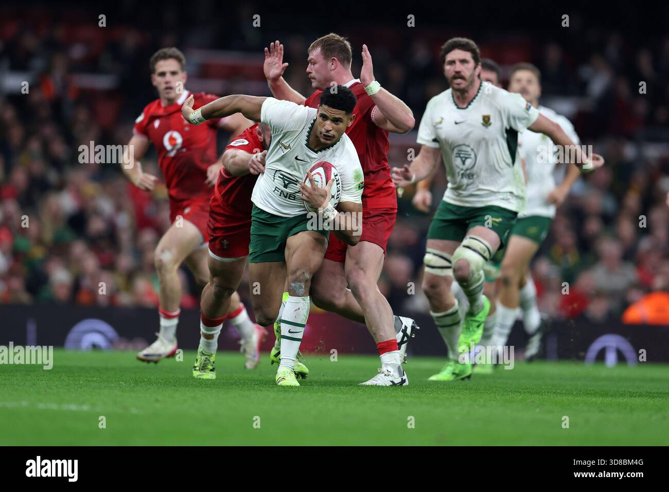 Cardiff, UK. 29th Nov, 2025. Sacha Feinberg-Mngomezulu of South Africa ...