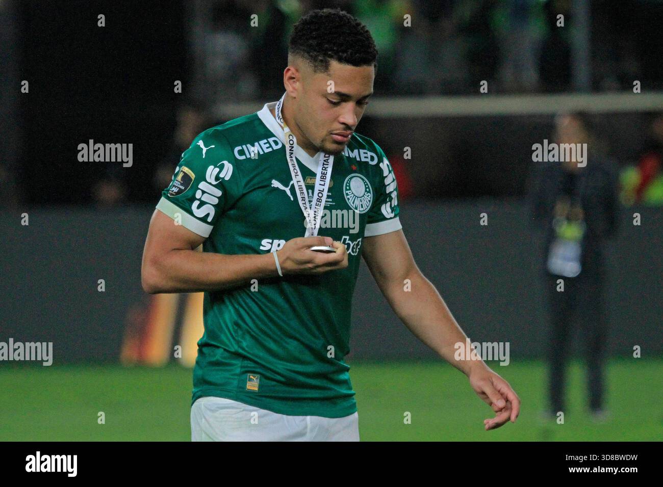 Lima, Peru, 29th November, 2025. Vitor Roque of Palmeiras reacts after ...
