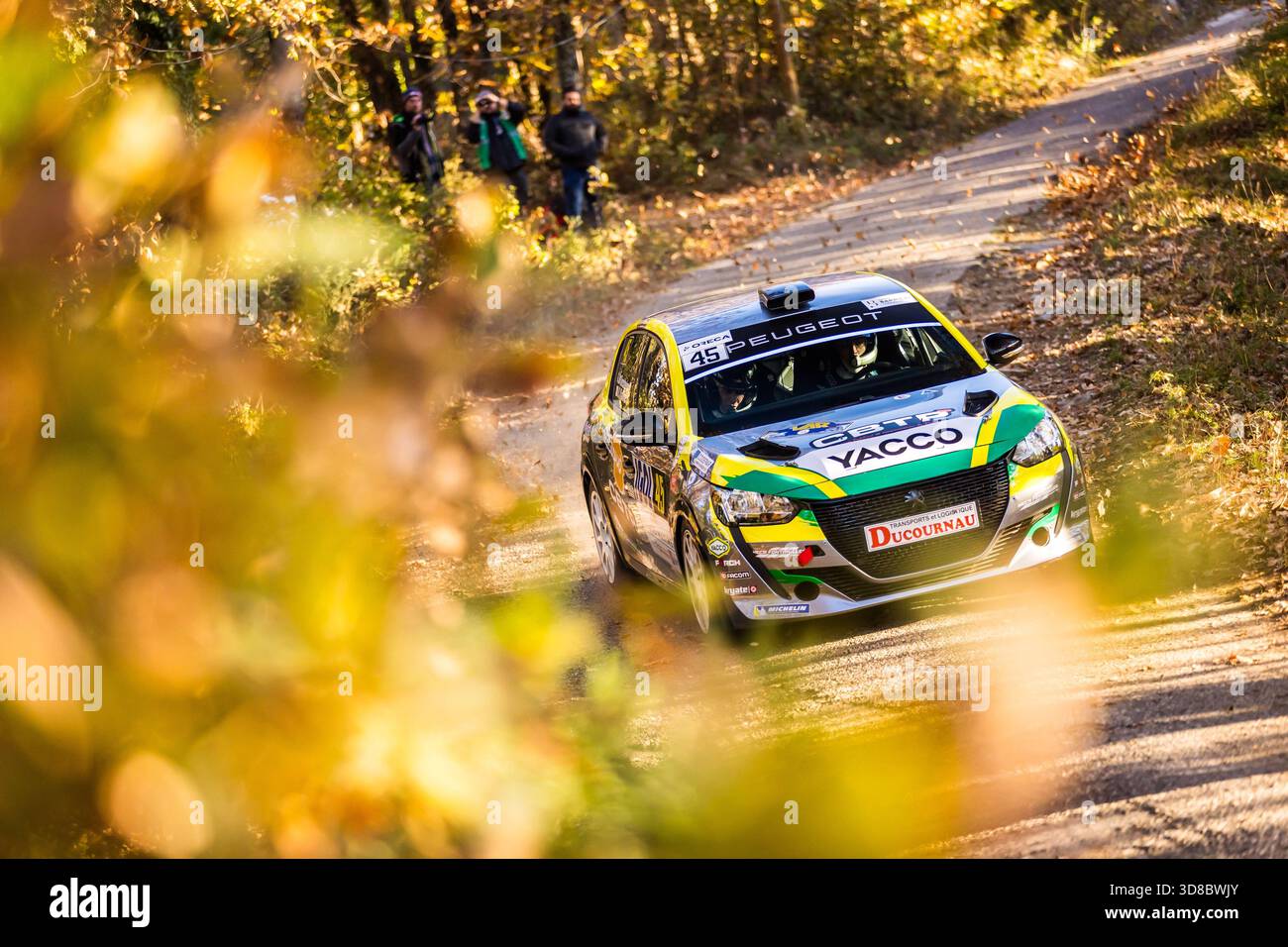 45 VIALATTE Quentin, DE TURCKHEIM Gilles, Peugeot 208 Rally4, action ...