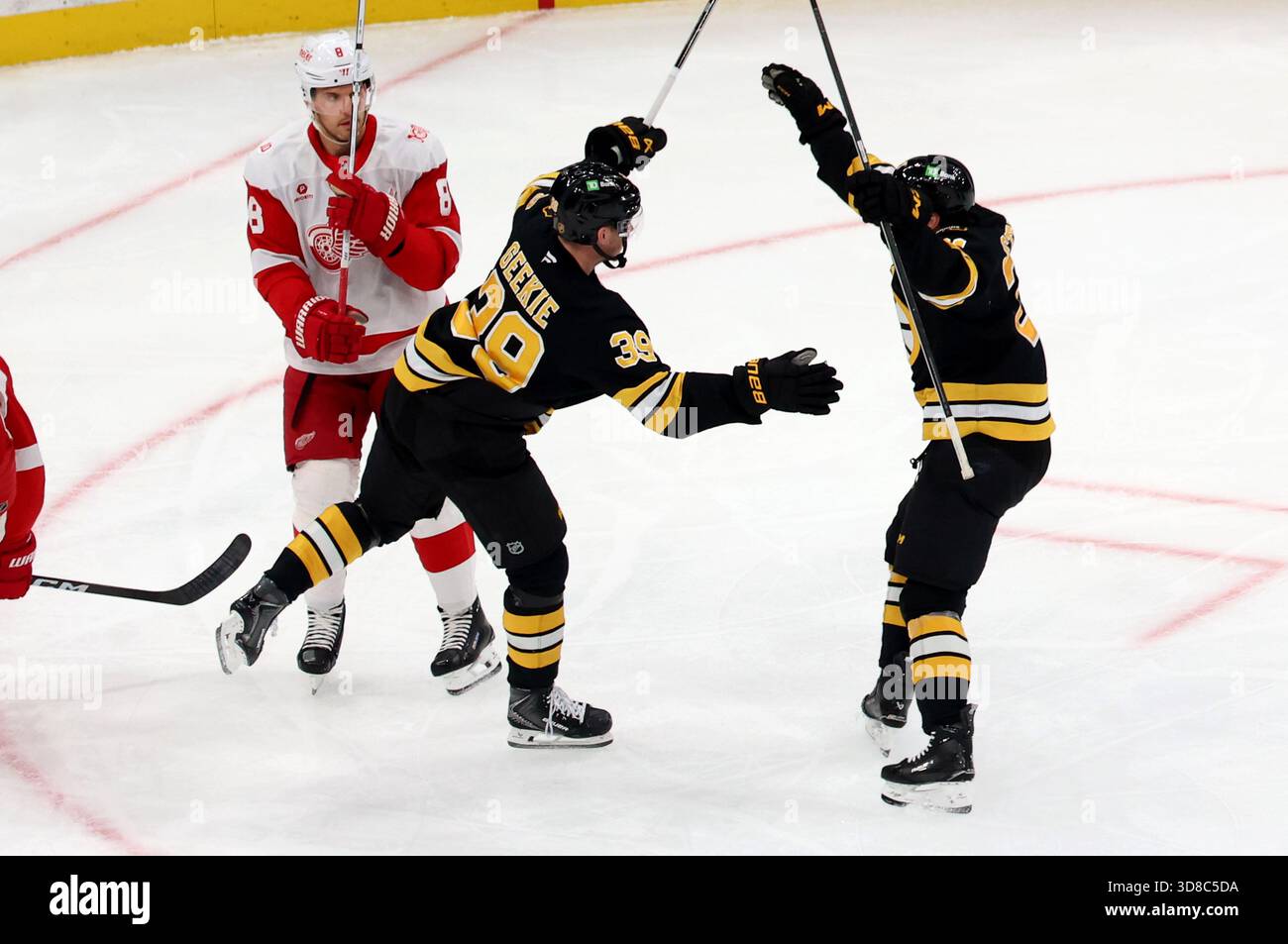 Boston Bruins centers Morgan Geekie (39) and Alex Steeves (21 ...
