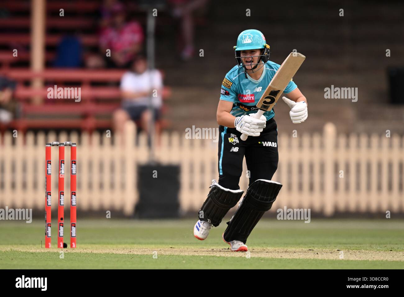 Mikayla Wrigley of the Heat plays a shot during the WBBL match between ...