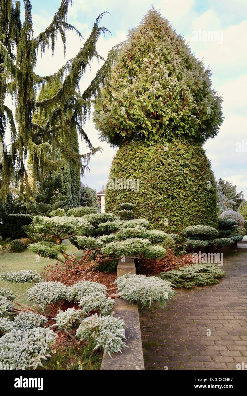 Cloud topiary winter hi-res stock photography and images - Alamy