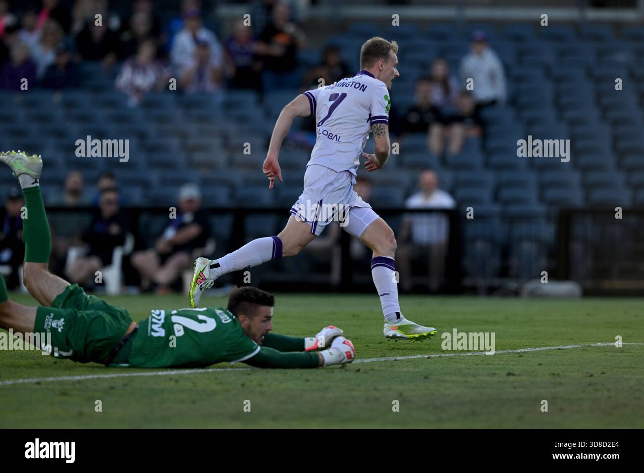 Nicholas Pennington of the Glory celebrates after scoring a goal during ...
