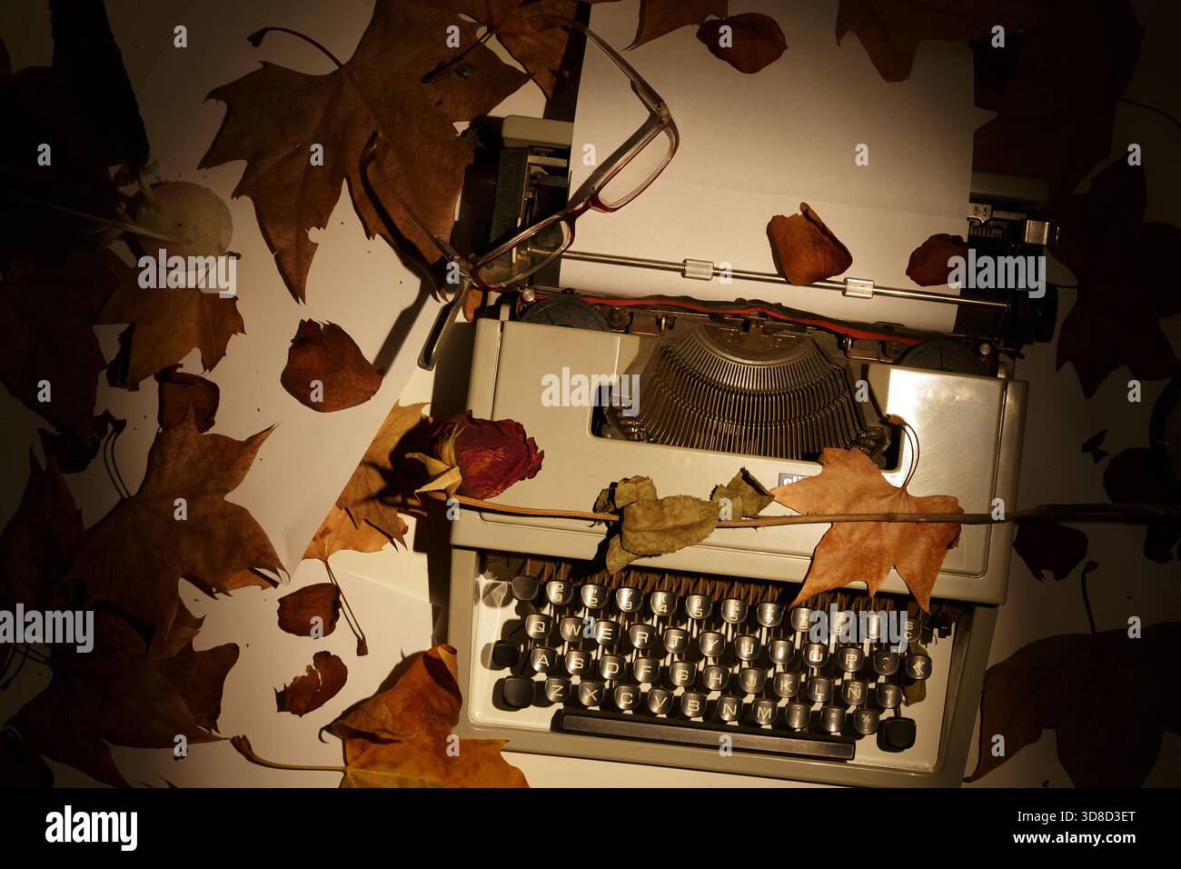 Vintage typewriter amid scattered autumn leaves, warm directional light ...