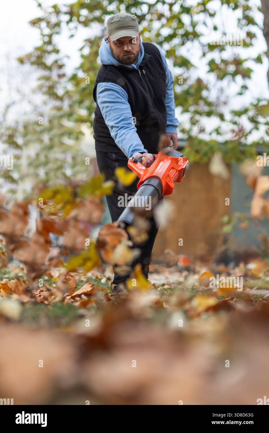 Leaf blower in action moving colorful fall leaves from residential lawn ...