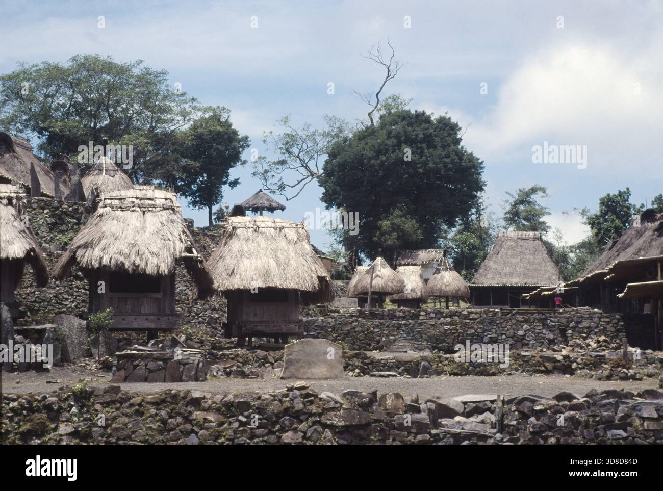 Indonesia, Flores, Bena. Traditional village Bena in the Ngada Regency ...