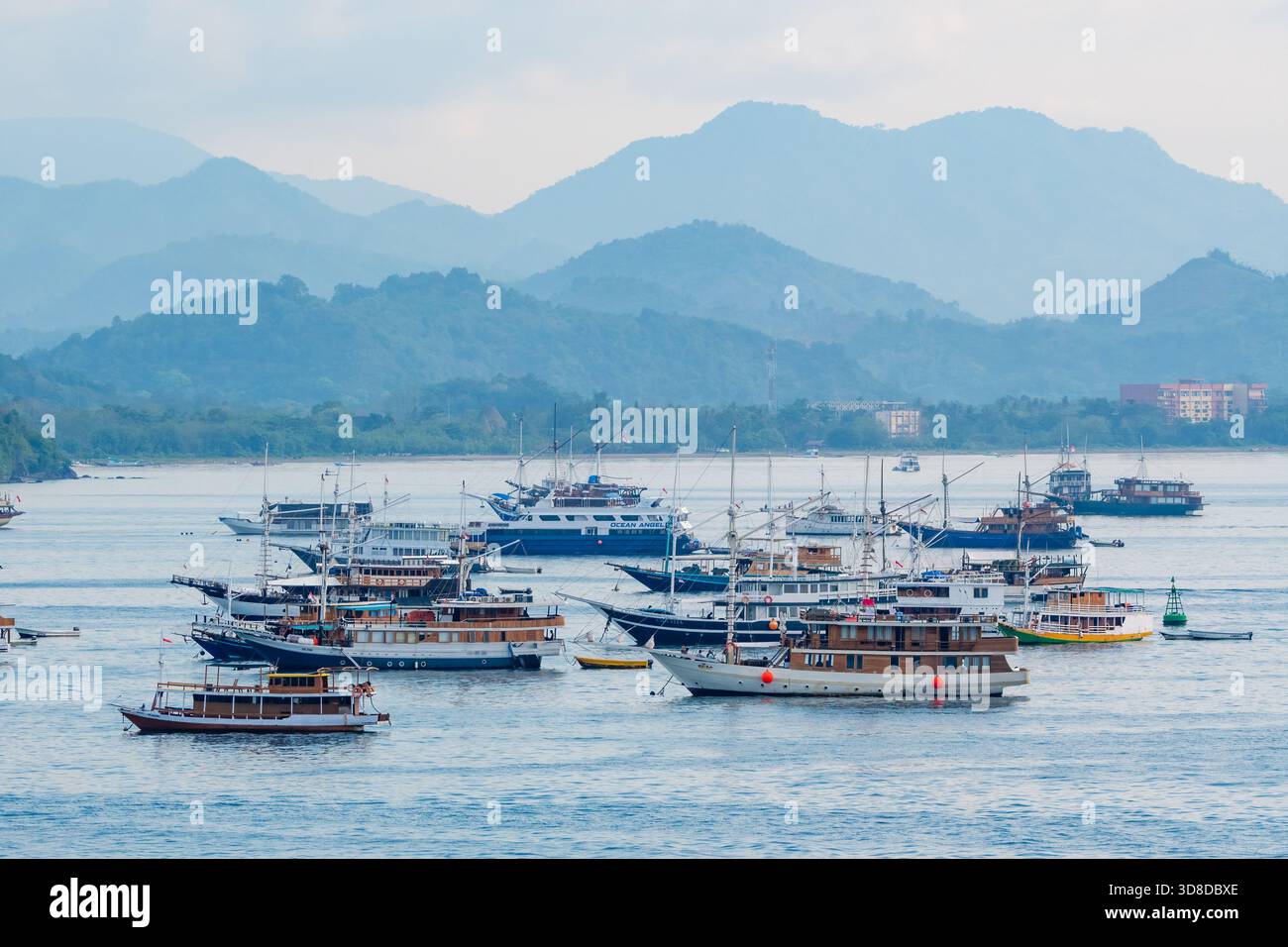 Many dive boats anchored near Labuan Bajo Marina, Labuan Bajo, Flores ...